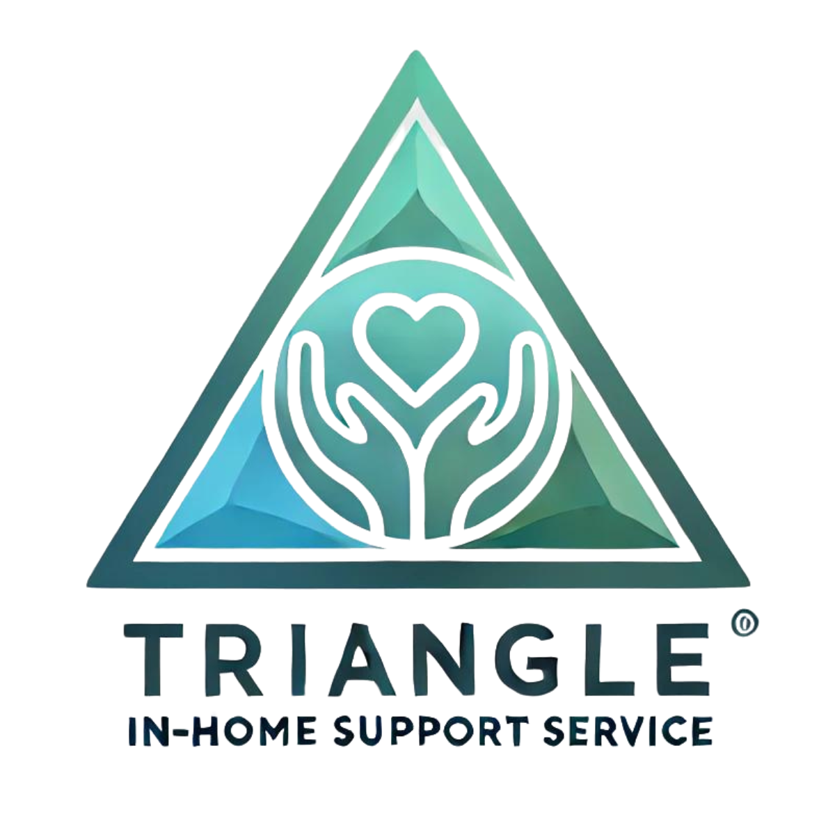 TRIANGLE IN HOME SUPPORT SERVICE - Your Trusted Customs Consultants